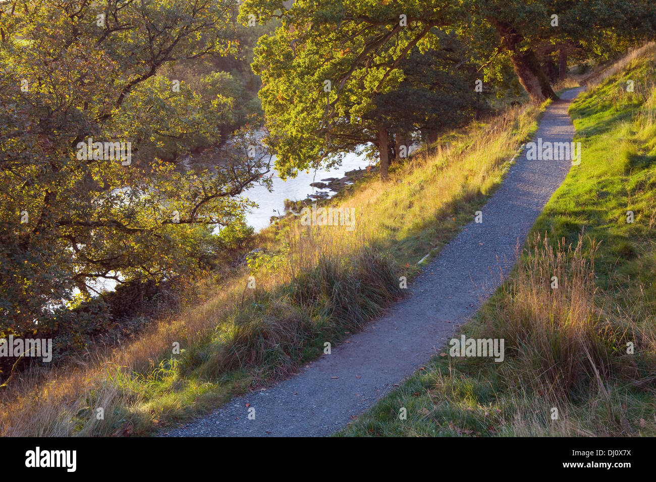 Strid Wood and the River Wharfe, Bolton Abbey, Wharfedale, Yorkshire ...