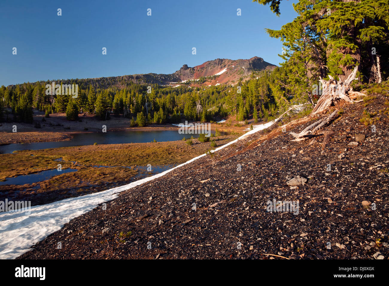 Obsidian hi-res stock photography and images - Alamy