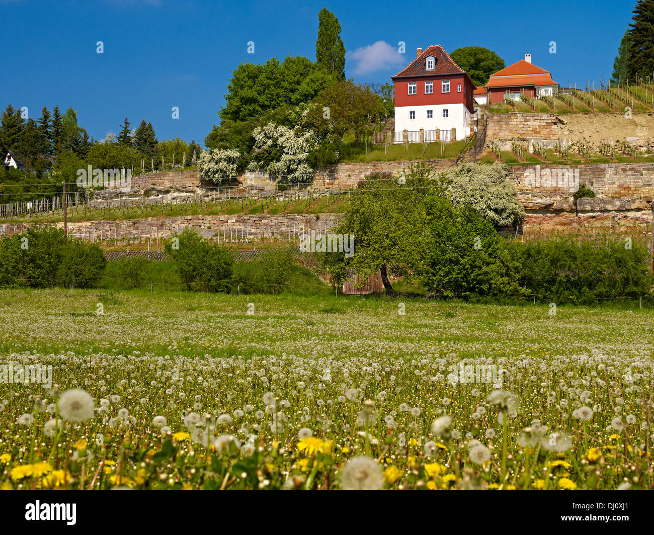Max Klinger house and vineyard Kleinjena/Unstrut, Saxony-Anhalt ...