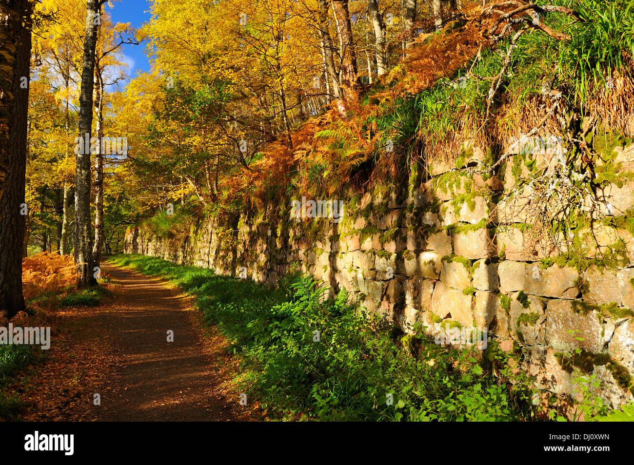 Old deeside railway line hi-res stock photography and images - Alamy