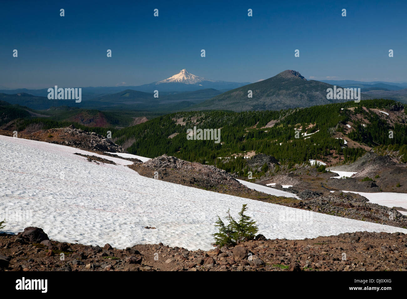 Mount Hood with Mount Rainier and Mount Adams in distance from Pacific ...
