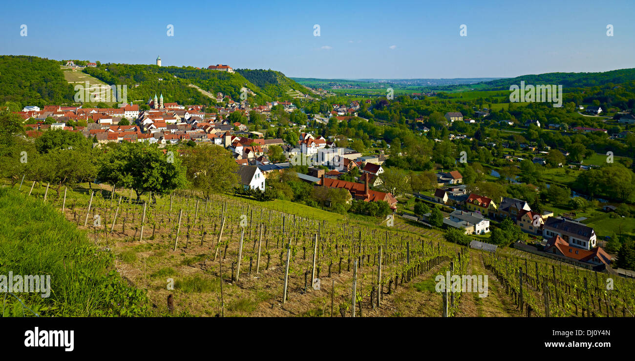 Neuenburg castle with vineyard and place hi-res stock photography and ...