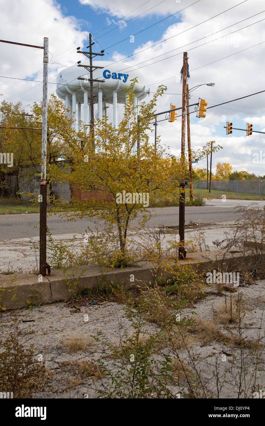 Gary, Indiana - Vacant and overgrown lots in Gary, Indiana, where the ...