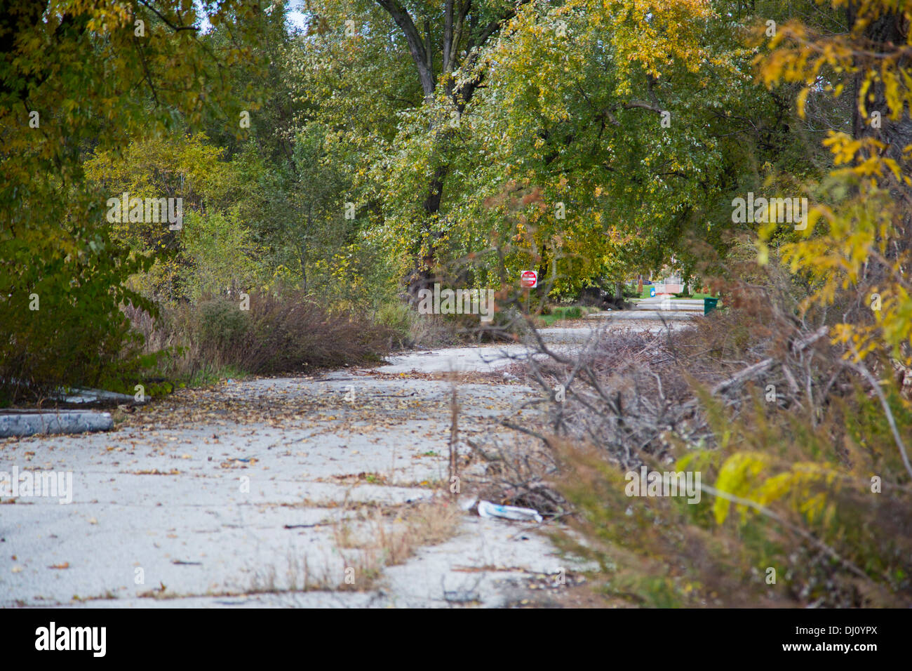 Gary, Indiana - Vacant and overgrown lots in Gary, Indiana, where the ...