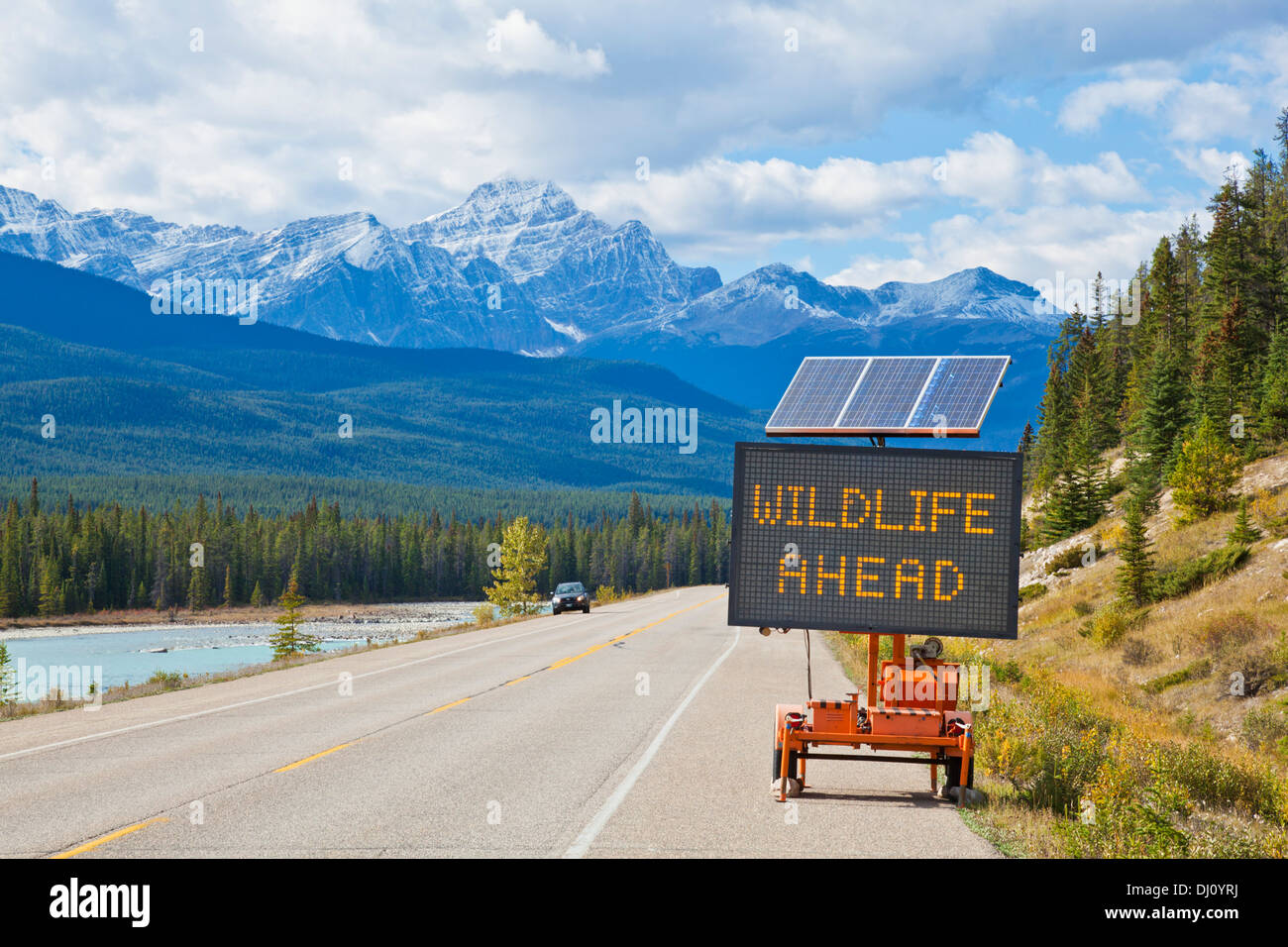 Wildlife ahead road warning signs on the Icefields Parkway Jasper ...