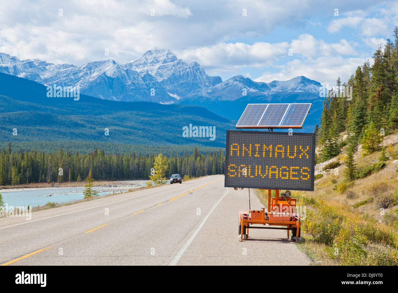 Wildlife ahead road warning signs on the Icefields Parkway Jasper ...