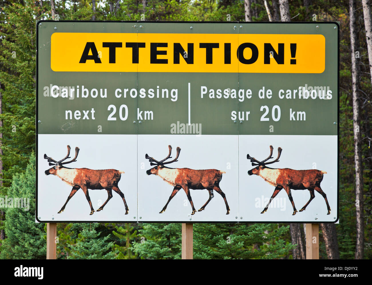 Caribou crossing caution Wildlife ahead road warning signs on the ...