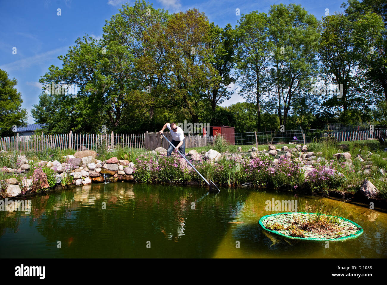 man fishes in garden pond with a landing net, a stone waterfall and ...