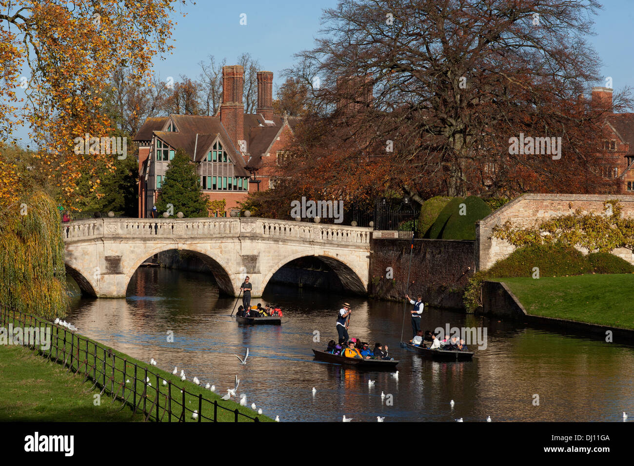 Autumn Colours on the River Cam Cambridge. 15 11 2013 Visitors to ...