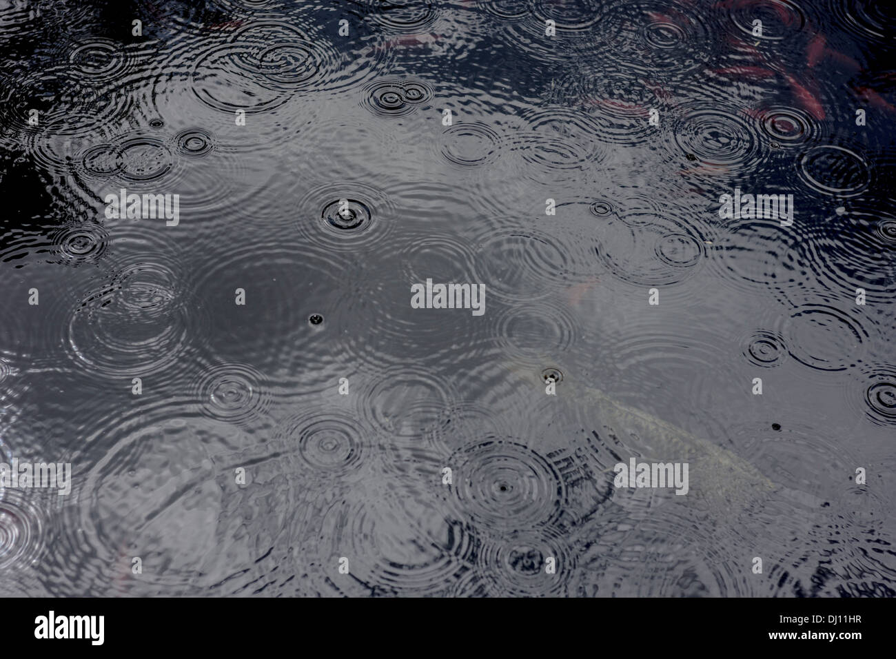 Rain hitting puddle hi-res stock photography and images - Alamy