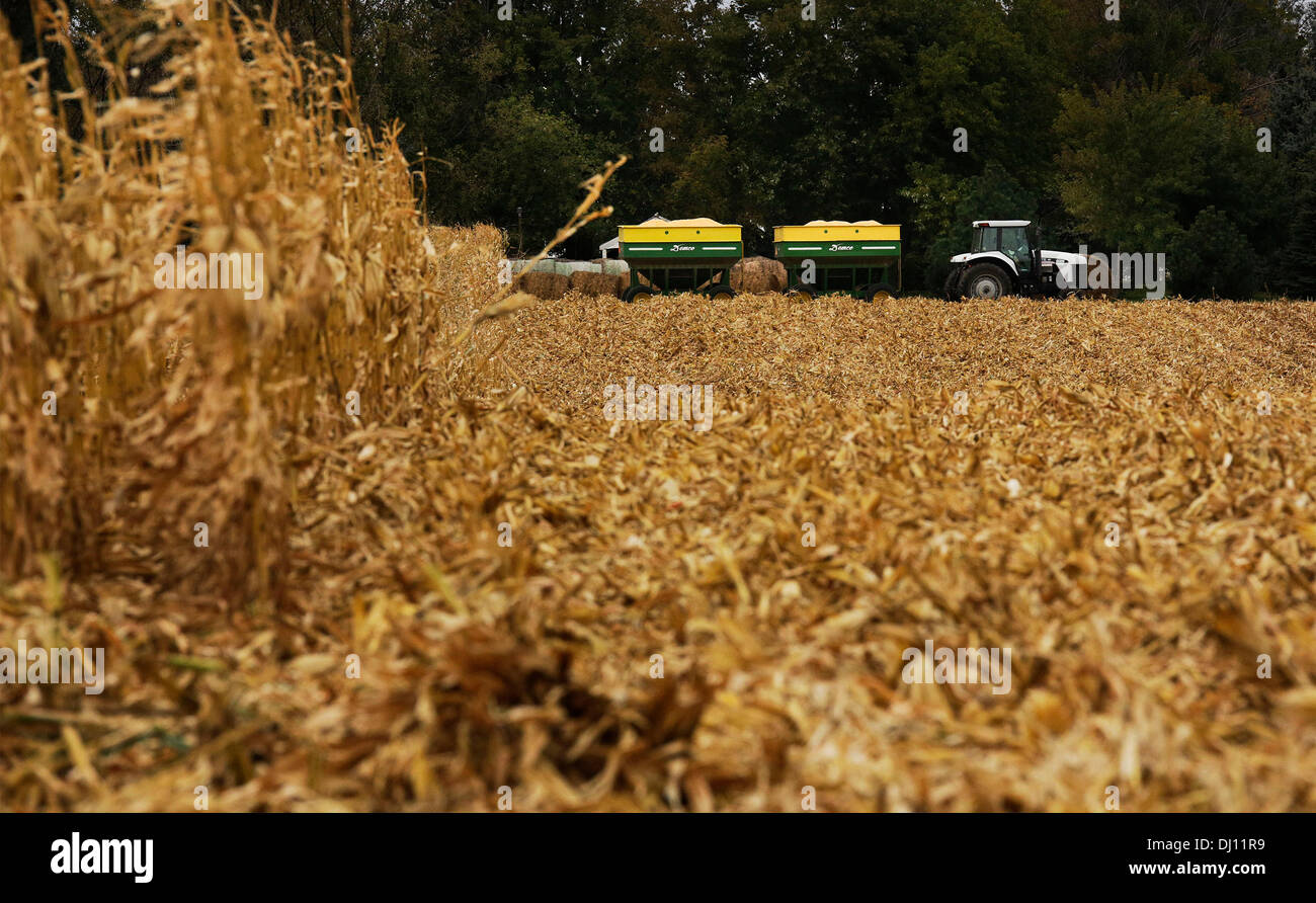 Ethanol blend hi-res stock photography and images - Alamy