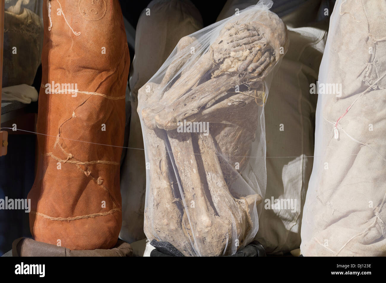 Inca mummy hi-res stock photography and images - Alamy