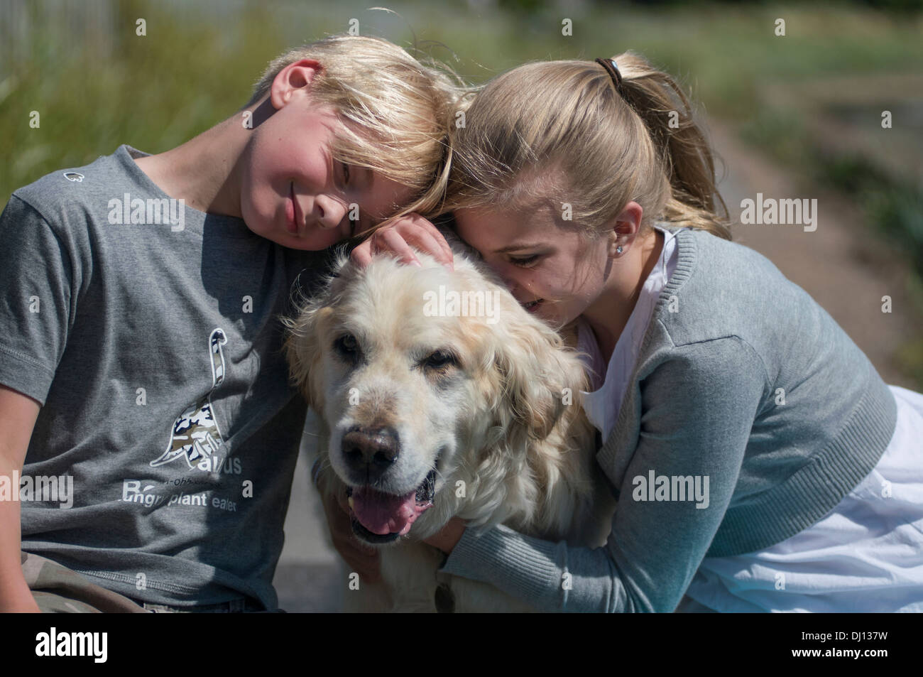 A boy and a girl hug a dog Stock Photo - Alamy