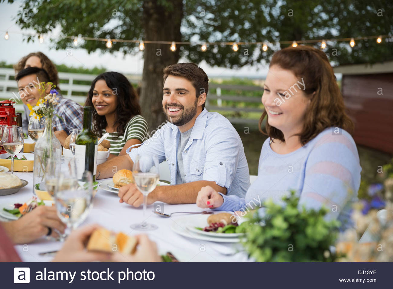 Friends dinner party hi-res stock photography and images - Alamy
