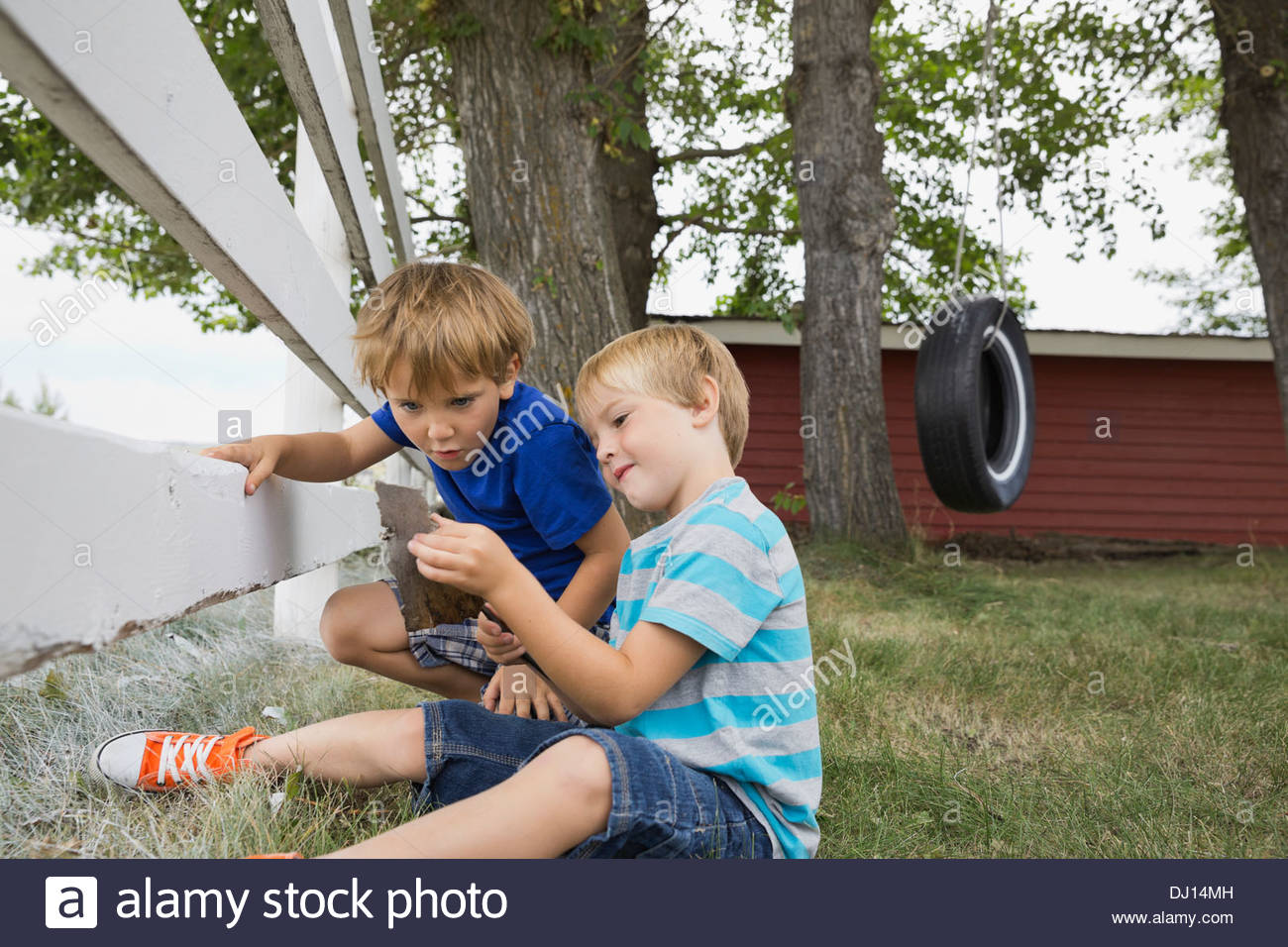 Exploring tree hi-res stock photography and images - Alamy