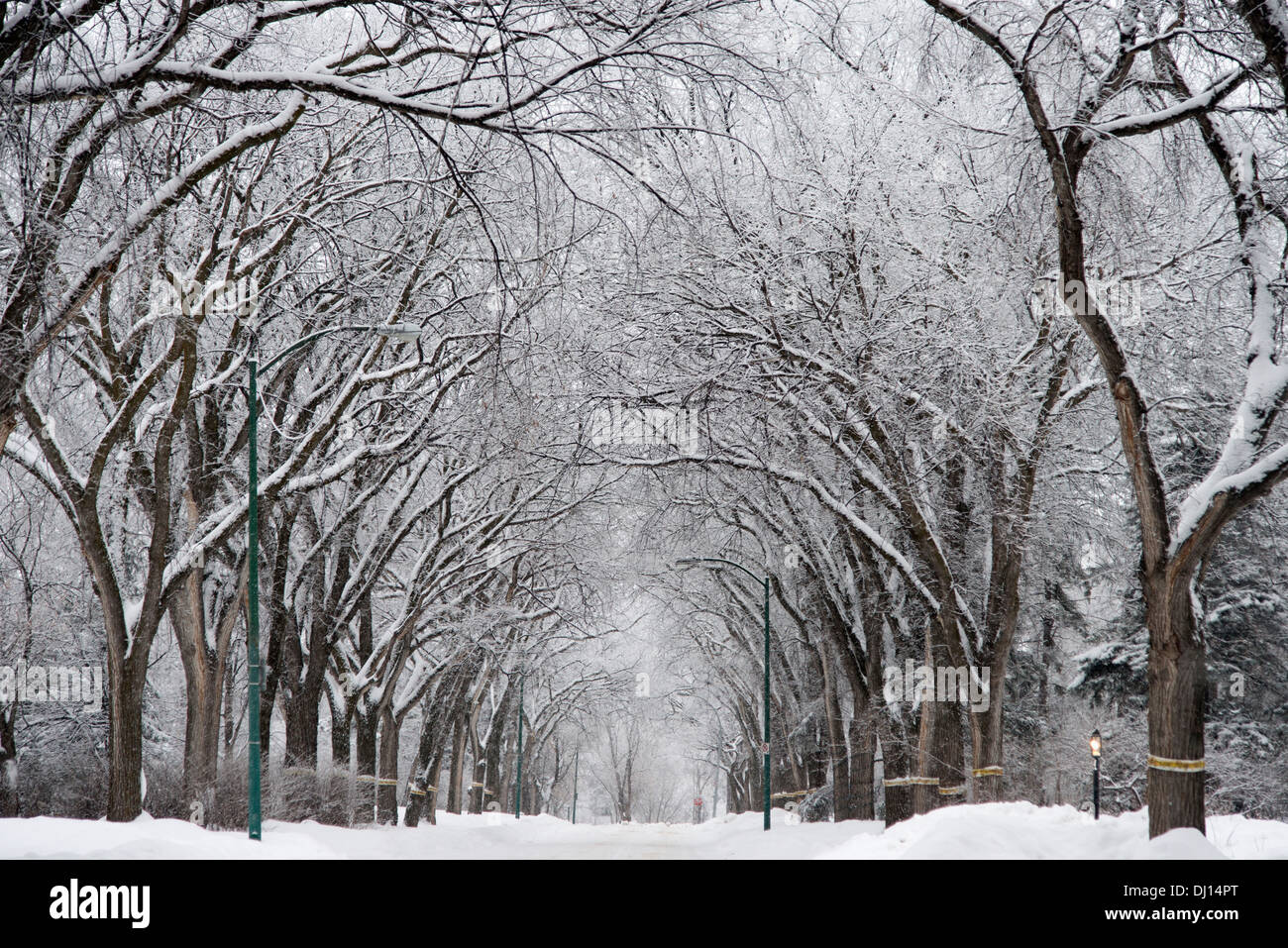 Low angle snow street hi-res stock photography and images - Alamy