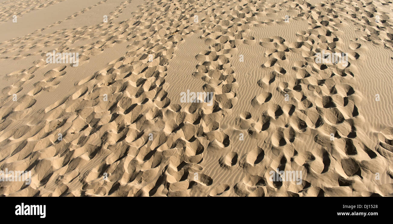 Camel footprint in sand hi-res stock photography and images - Alamy