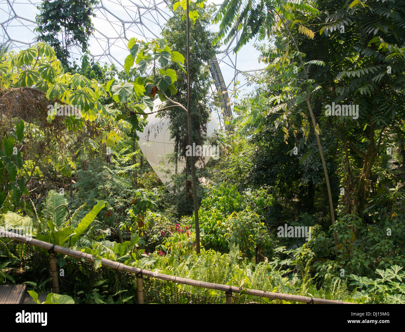 Inside eden project hi-res stock photography and images - Alamy