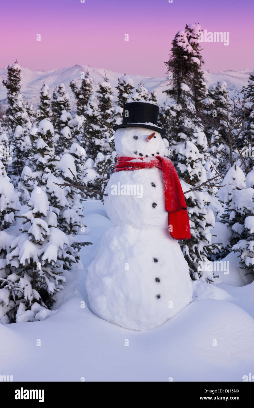 Snowman Wearing A Red Scarf And Top Hat Standing In Front Of A ...