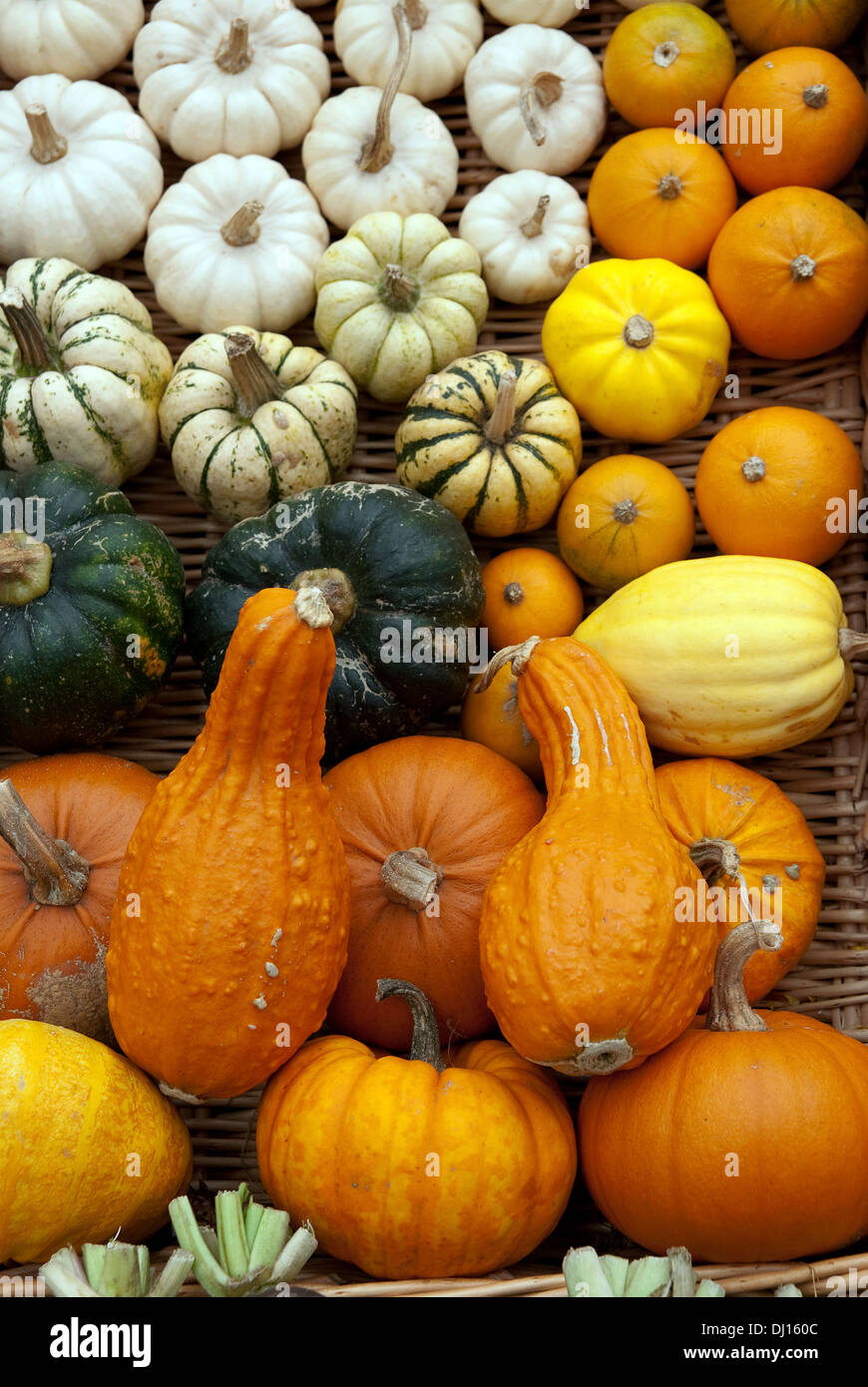 A Harvest display at Heligan Gardens in Cornwall, UK Stock Photo - Alamy