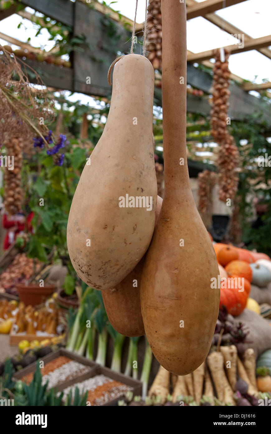 Calabash hi-res stock photography and images - Alamy