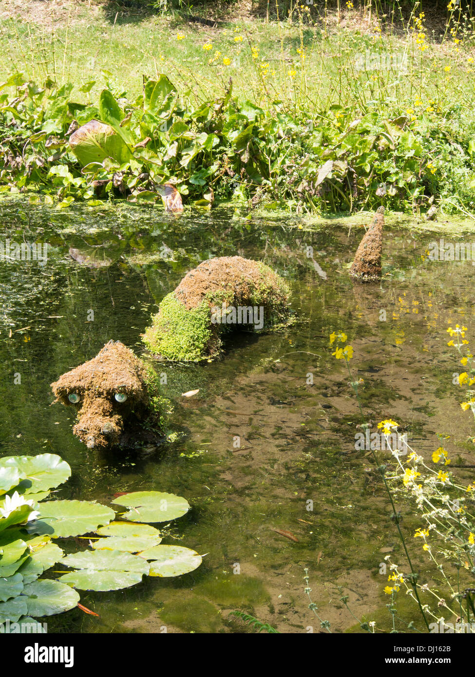 So dragon pond hi-res stock photography and images - Alamy