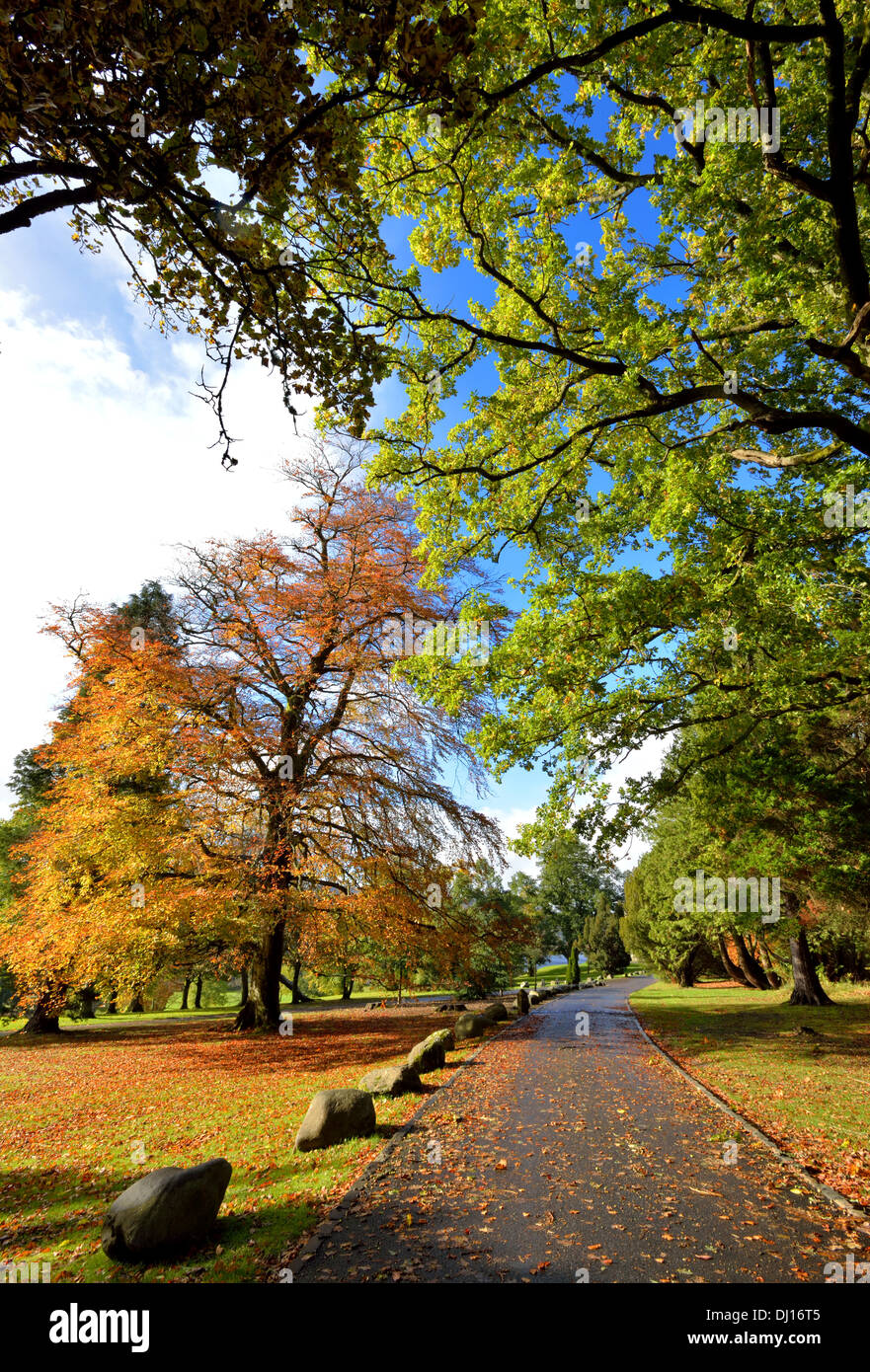 Autumn in Balloch Country Park, Balloch, Scotland, UK Stock Photo ...