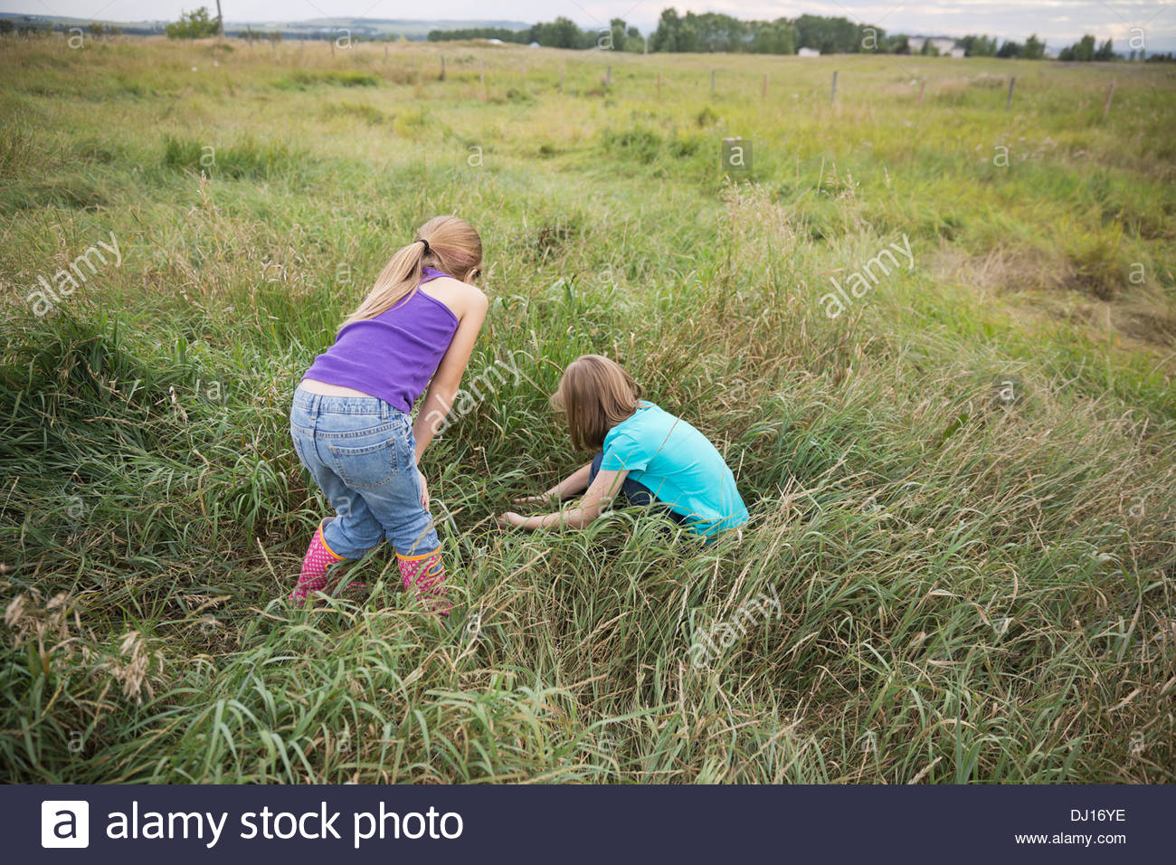 Girls exploring plants in field Stock Photo - Alamy