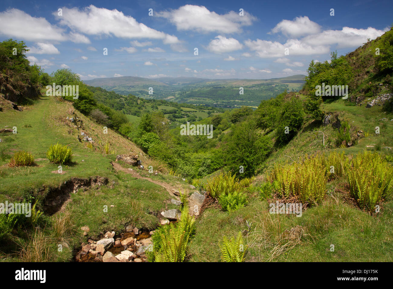 Hill's Tram Road, Cwm Llanwenarth, Abergavenny, Monmouthshire, UK Stock ...