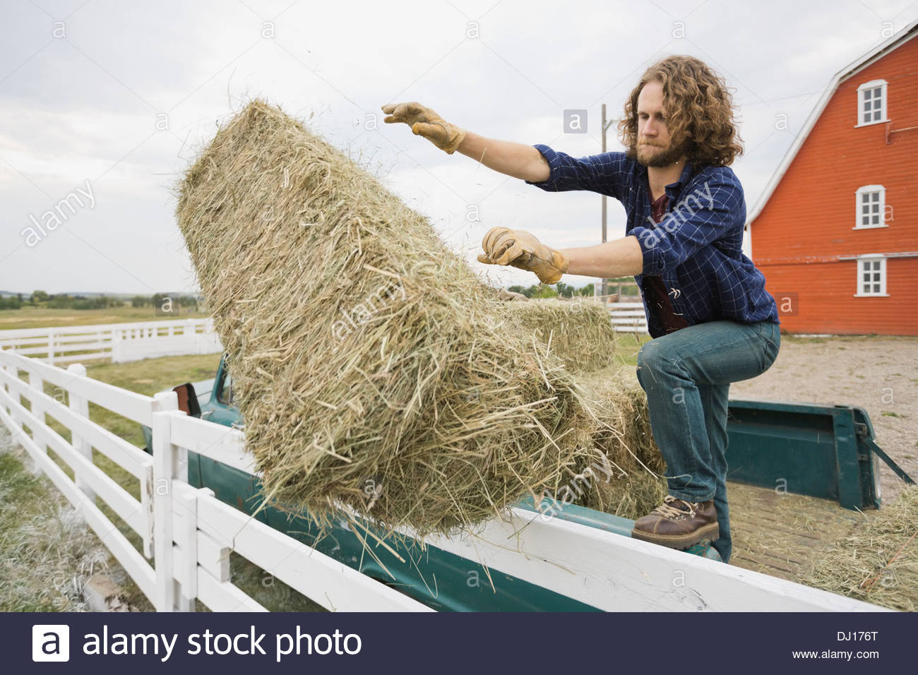 Farmer throwing hay bale hi-res stock photography and images - Alamy