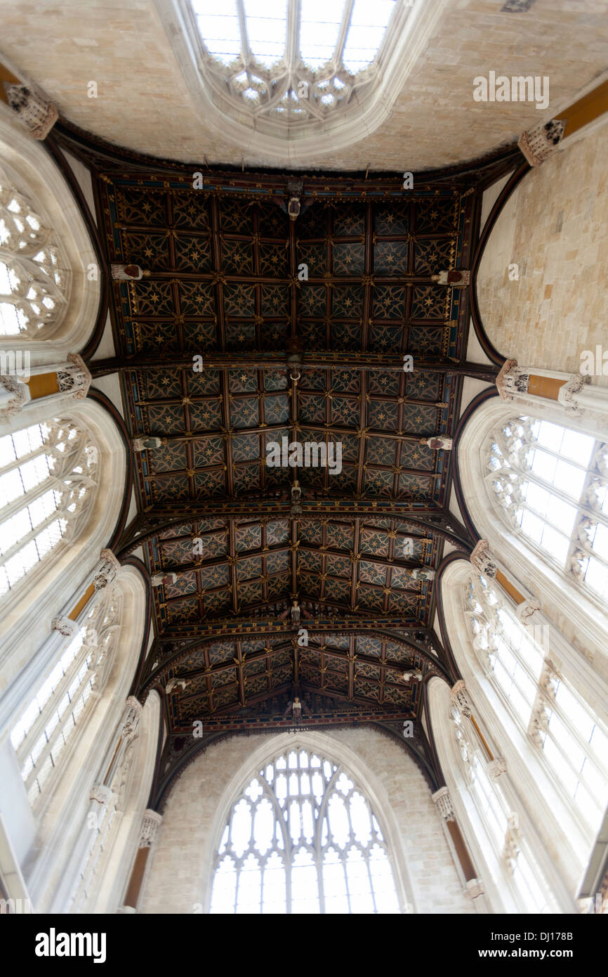 Exeter cathedral chapter house hi-res stock photography and images - Alamy