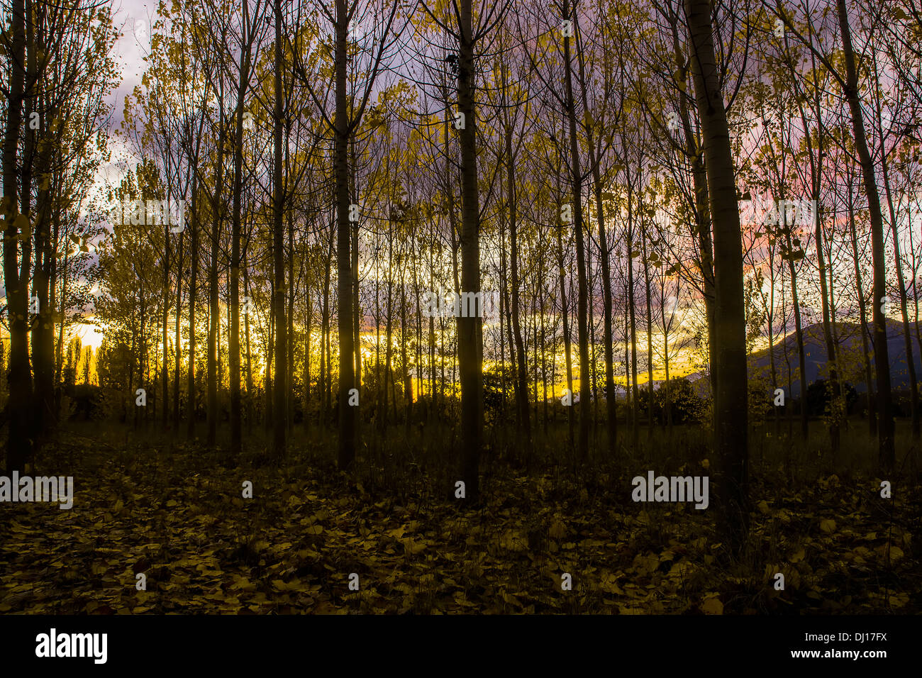Autumnal sunset river reflection hi-res stock photography and images ...