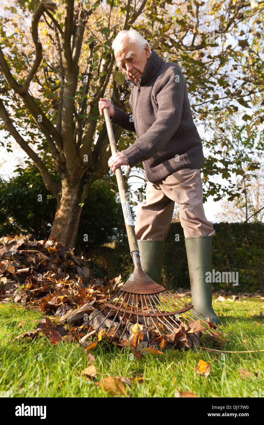 Close up man sweeping leaves hi-res stock photography and images - Alamy