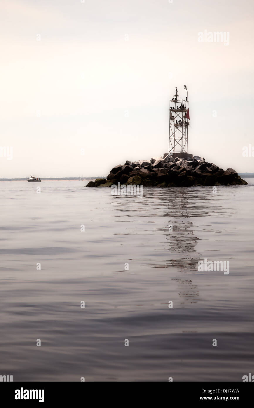 Birds on rock pile hi-res stock photography and images - Alamy