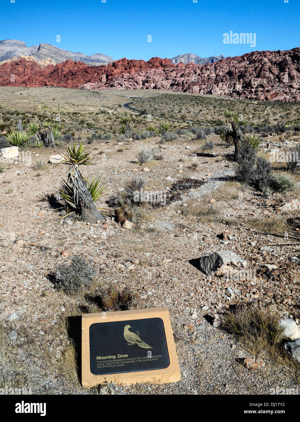 Red canyon sign hi-res stock photography and images - Alamy