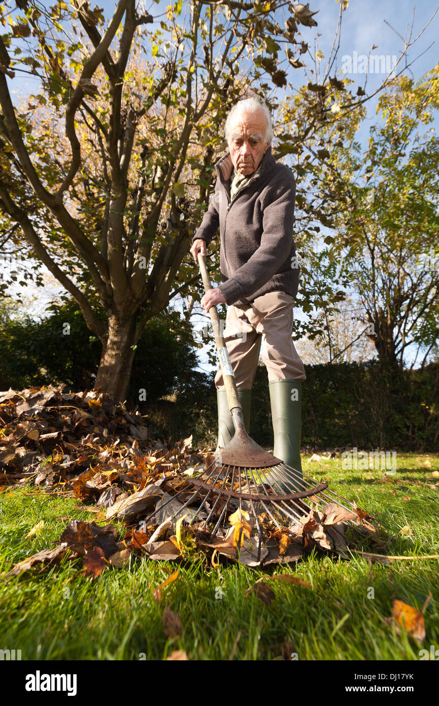 Close up man sweeping leaves hi-res stock photography and images - Alamy