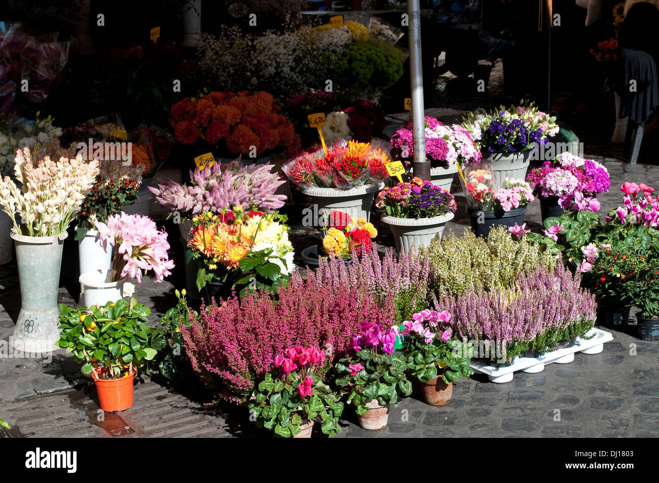 Flower stall, Campo de' Fiori market, Rome, Italy Stock Photo - Alamy