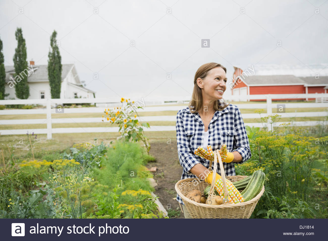 Smiling potato hi-res stock photography and images - Alamy
