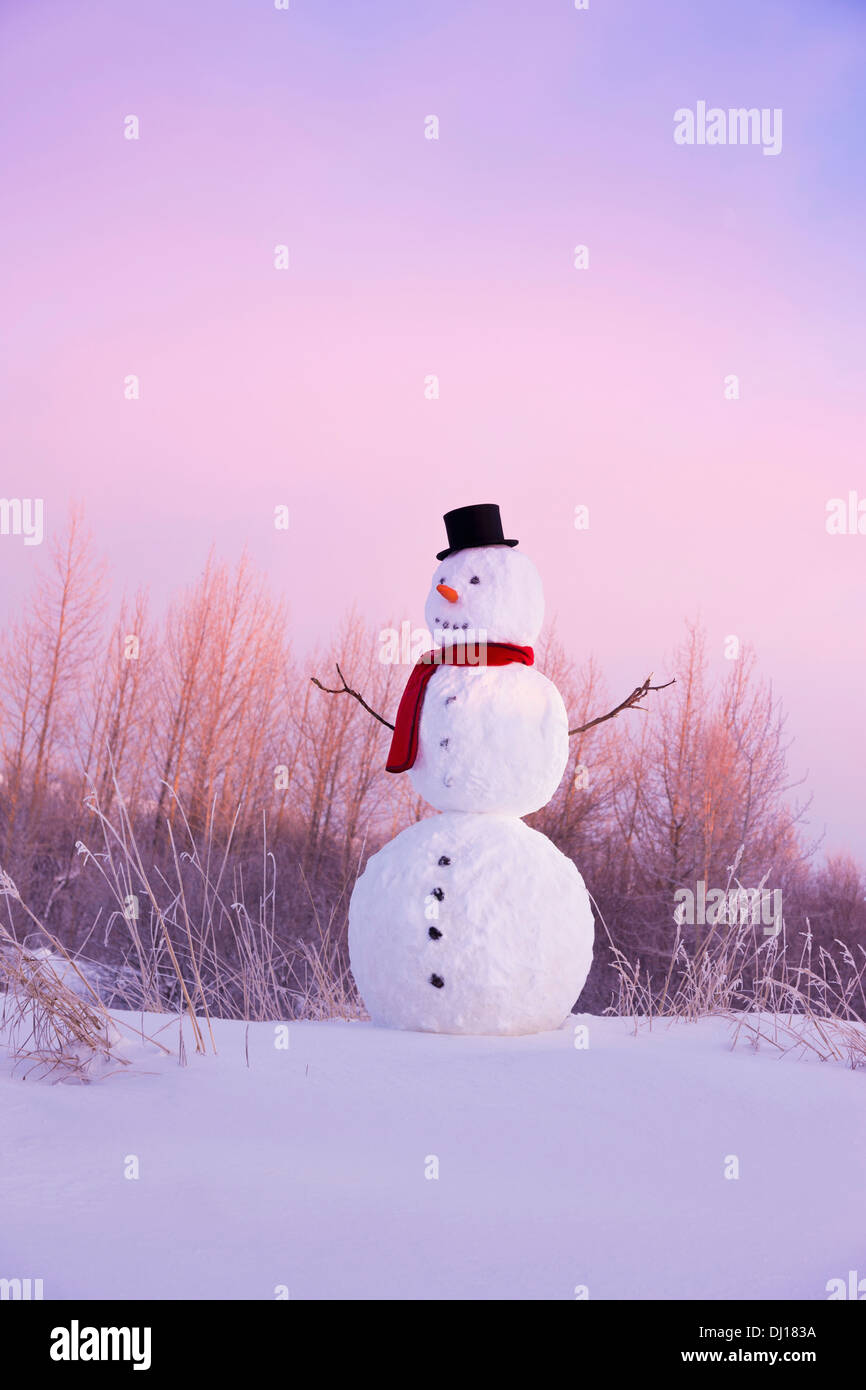 Snowman In Field Wearing A Black Stovepipe Hat And Red Scarf;Anchorage ...