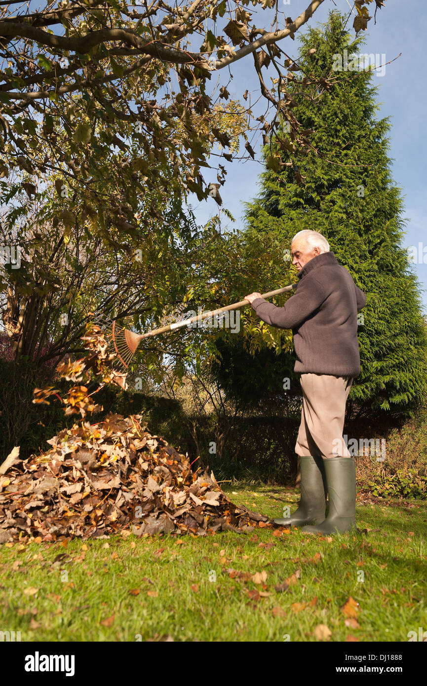 Close up man sweeping leaves hi-res stock photography and images - Alamy
