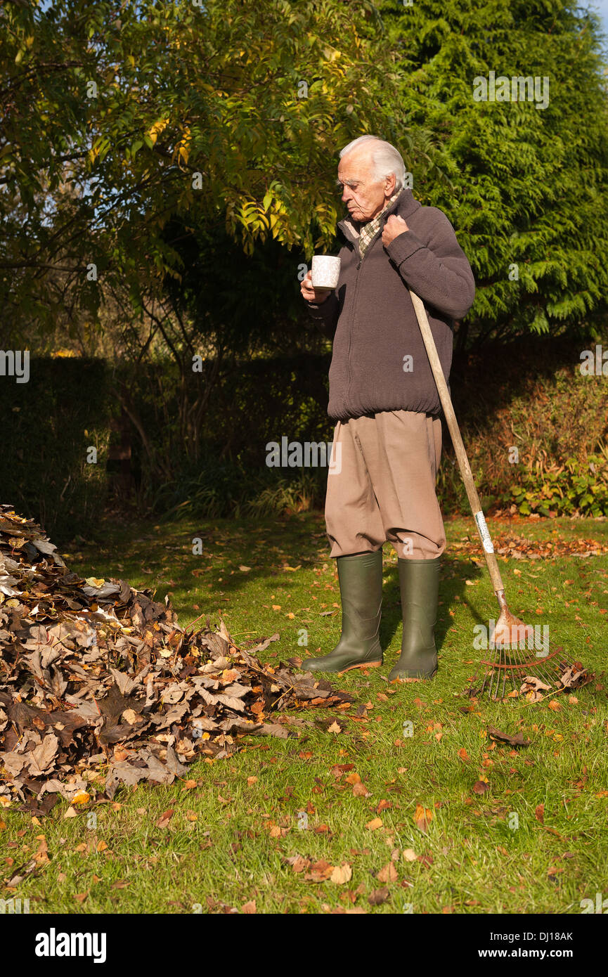Close up man sweeping leaves hi-res stock photography and images - Alamy