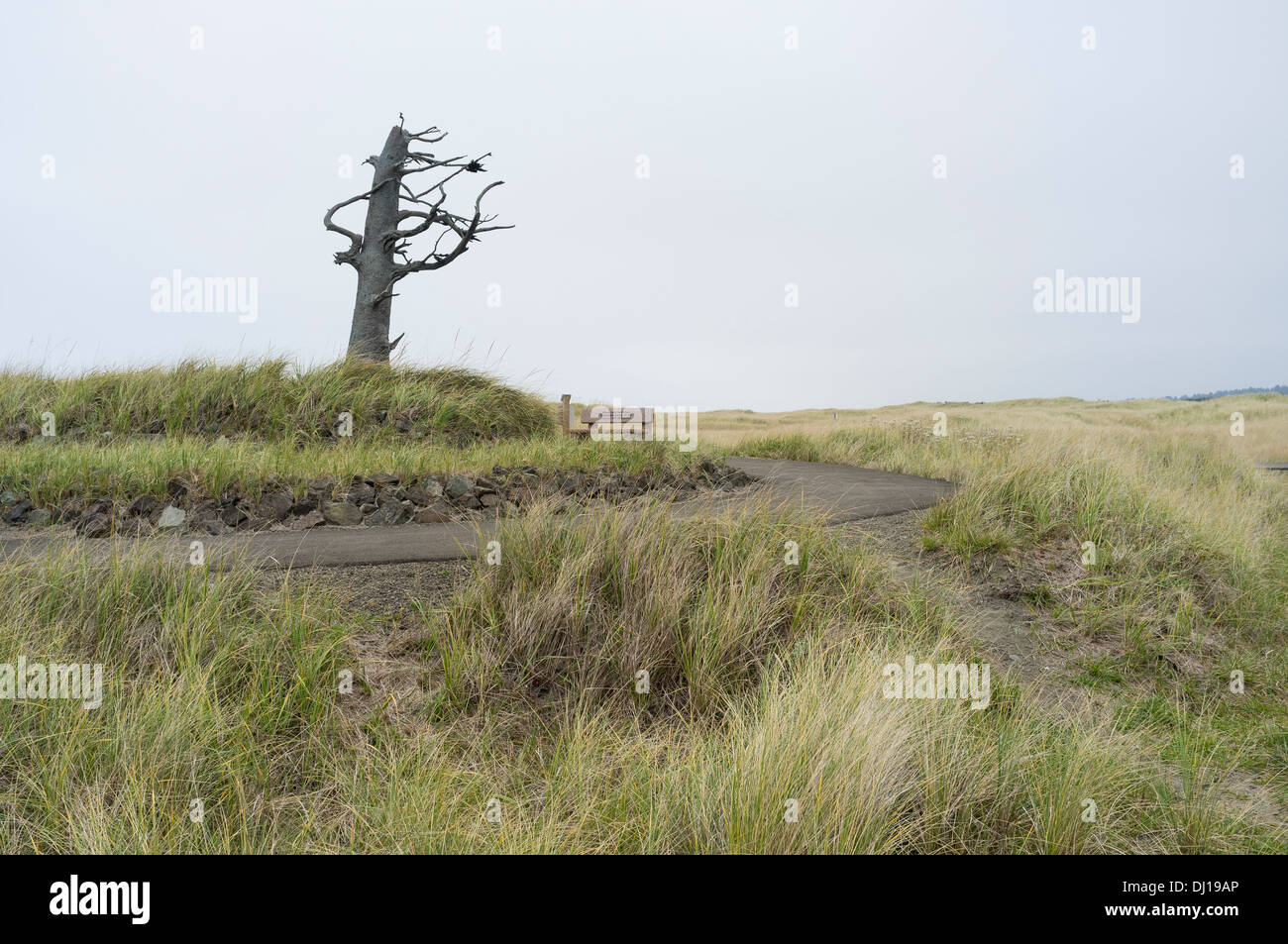 Pacific county washington hi-res stock photography and images - Alamy