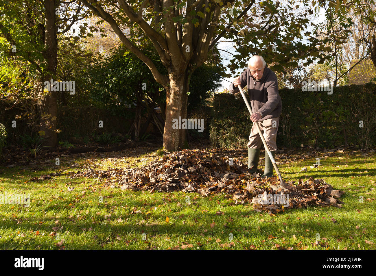 Man 80s gardening hi-res stock photography and images - Alamy