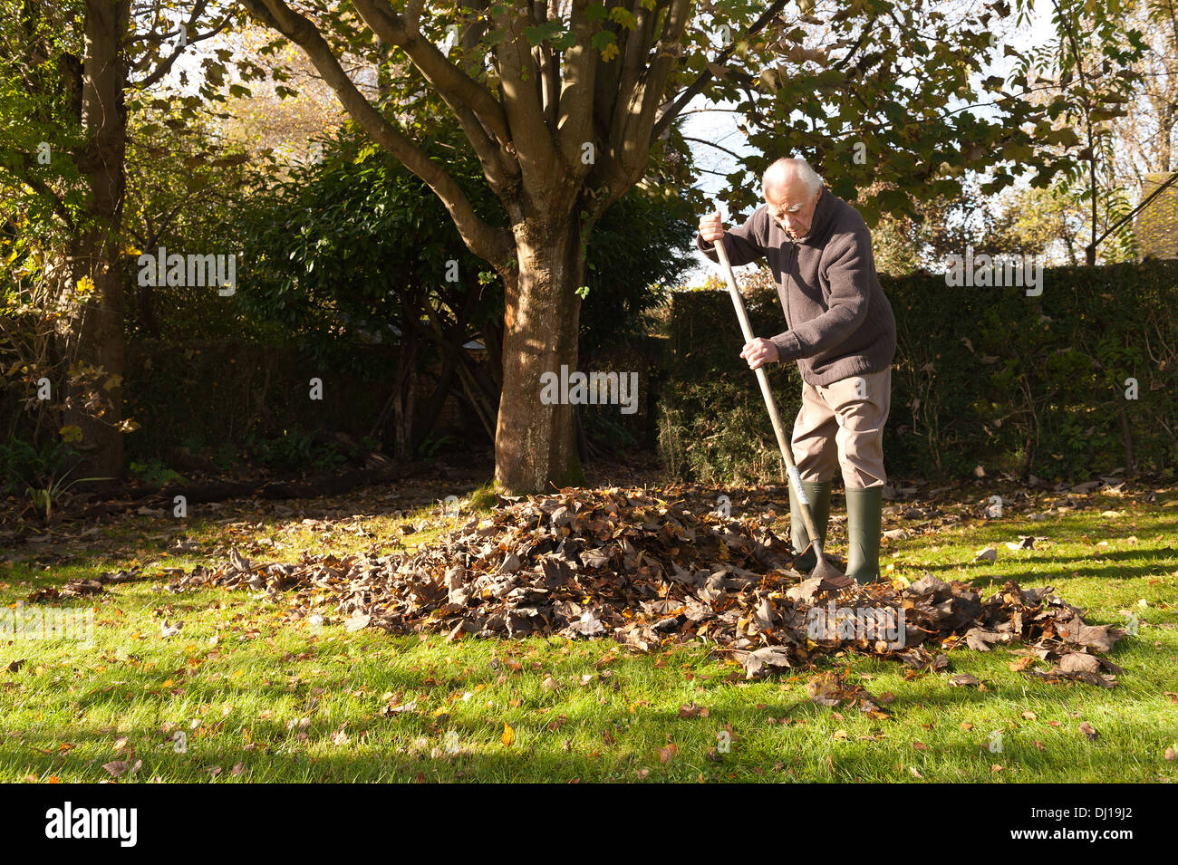 Man 80s Gardening High Resolution Stock Photography and Images - Alamy