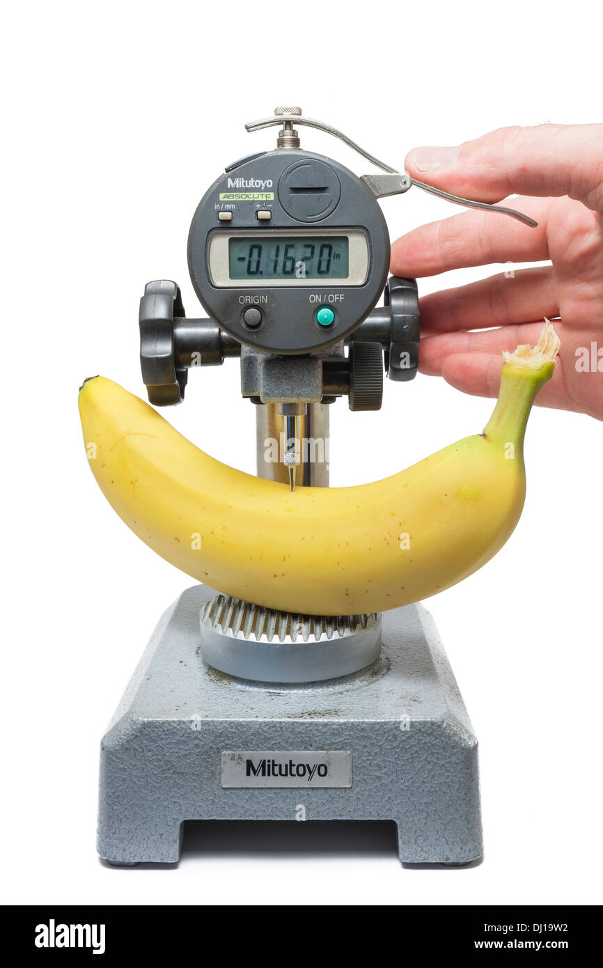 Fruit grading Cut Out Stock Images & Pictures - Alamy