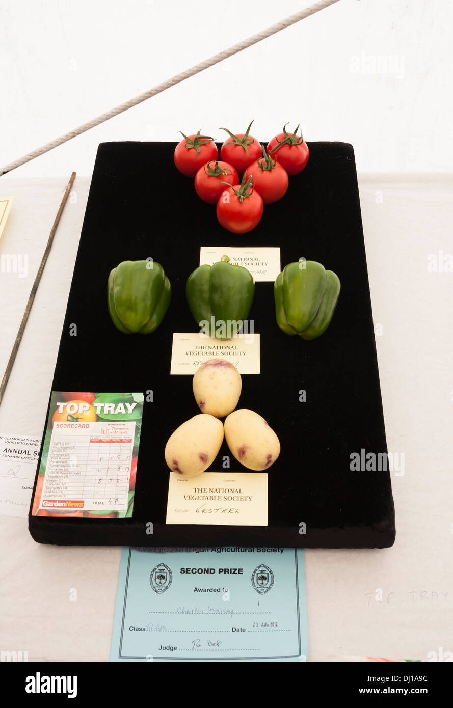Prize vegetables at show Stock Photo - Alamy