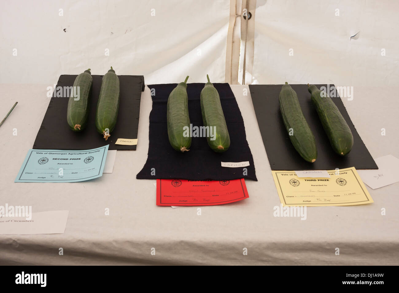 Prize vegetables at show Stock Photo - Alamy