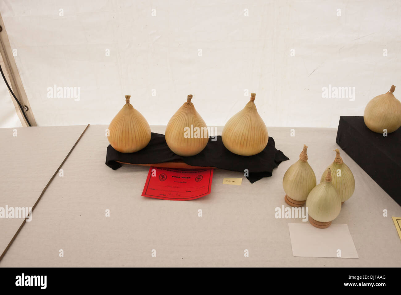 Prize vegetables at show Stock Photo - Alamy