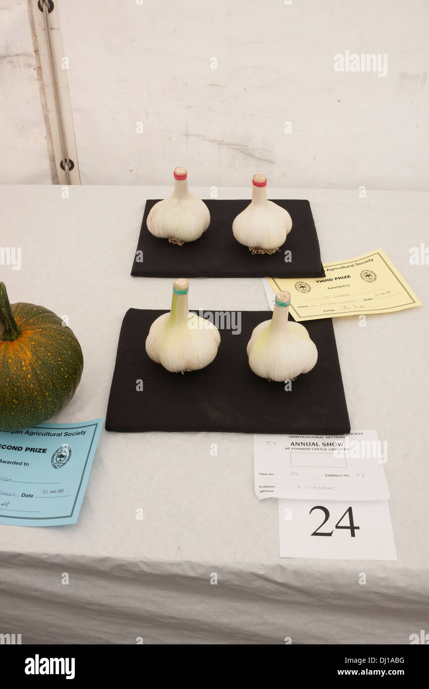 Prize garlic at show Stock Photo - Alamy