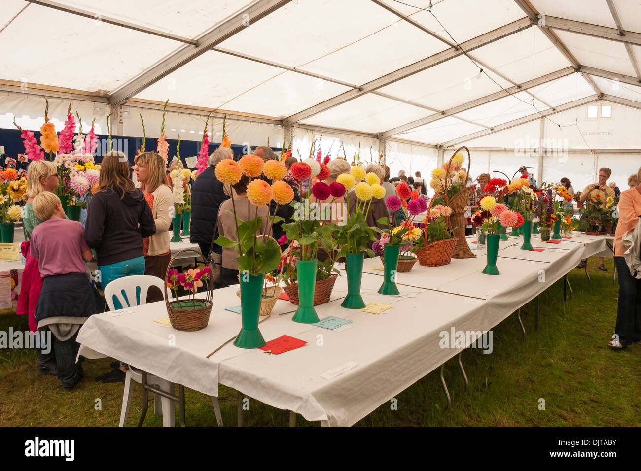 Flower display at show Stock Photo - Alamy
